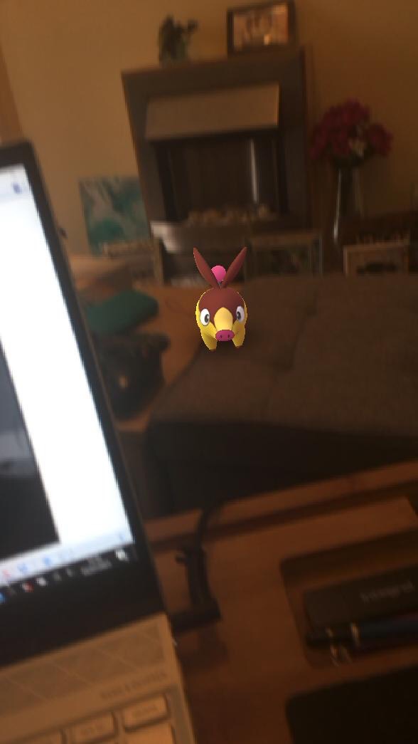 pokemon go – Overly Devoted Archivist